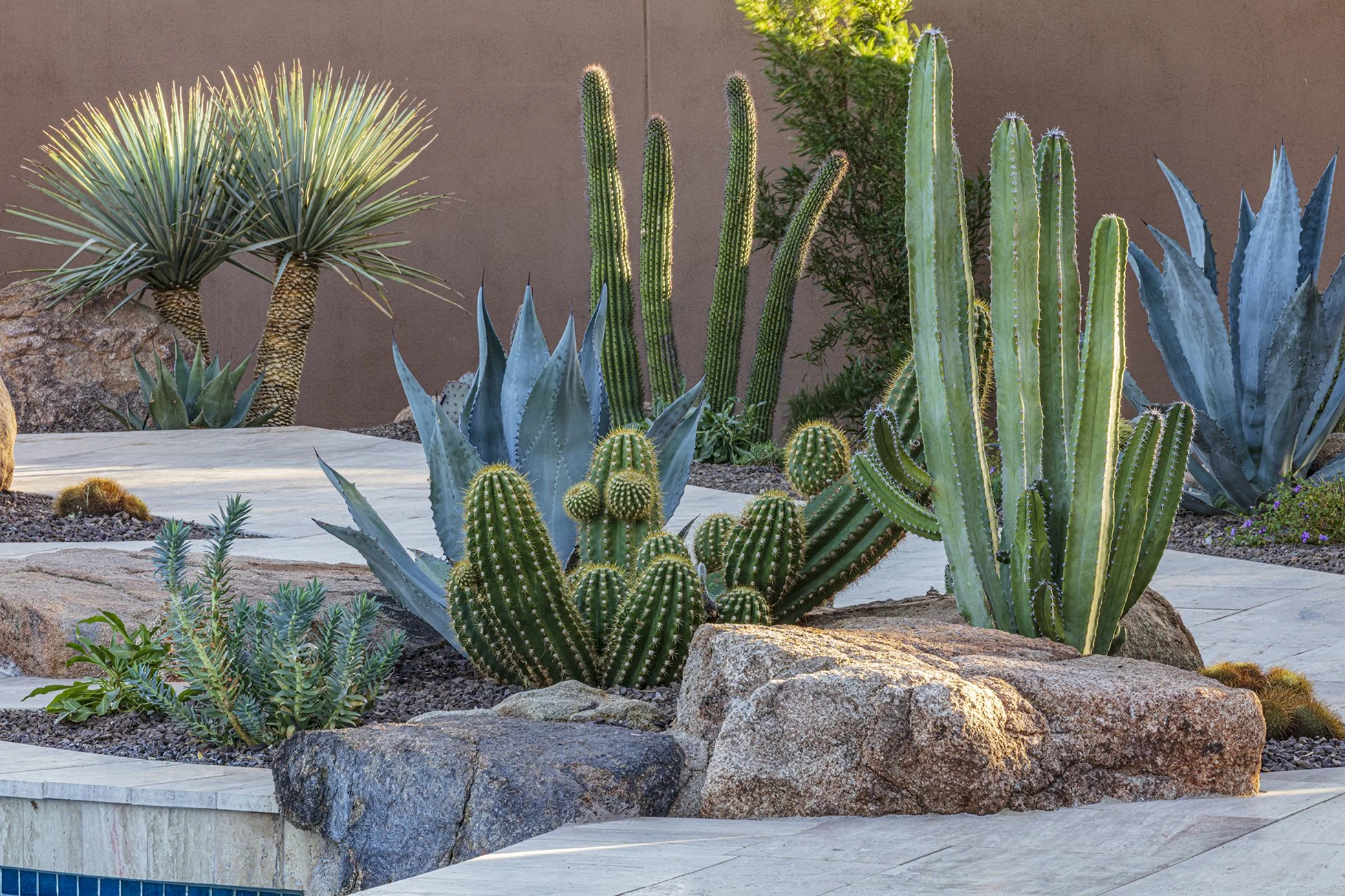 High Desert Designs | Luxury Landscape Design | Phoenix, AZ