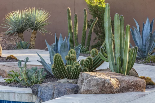 High Desert Designs | Luxury Landscape Design | Phoenix, AZ