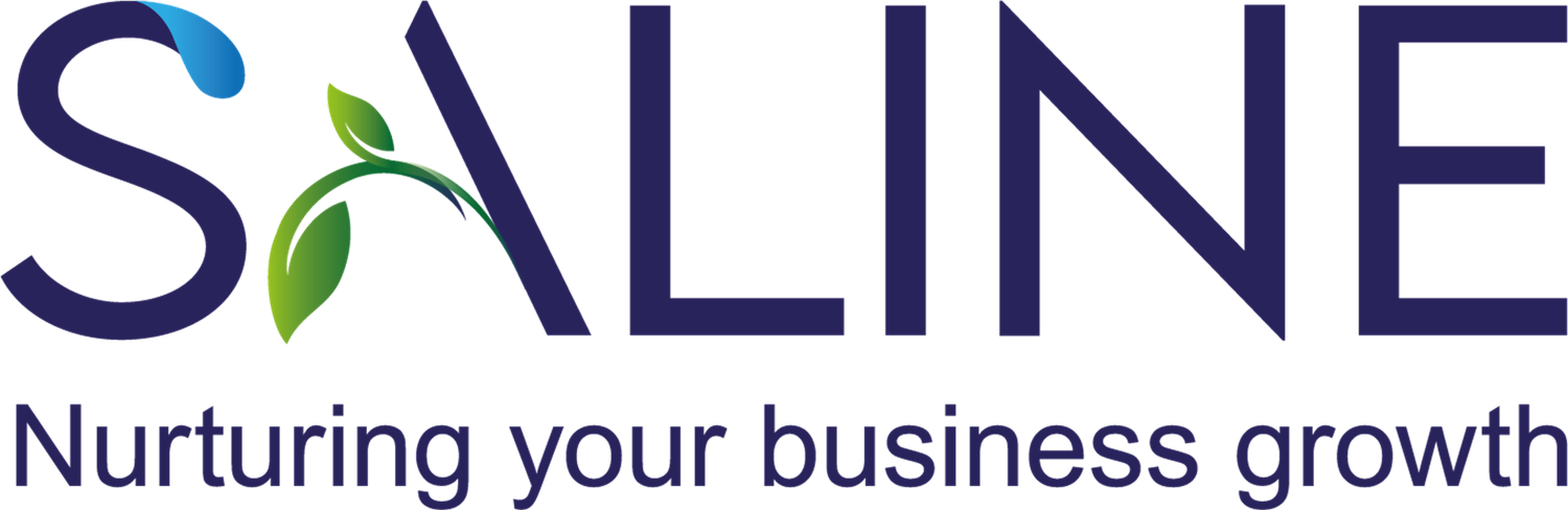 SALINE | Accelerate Business Growth