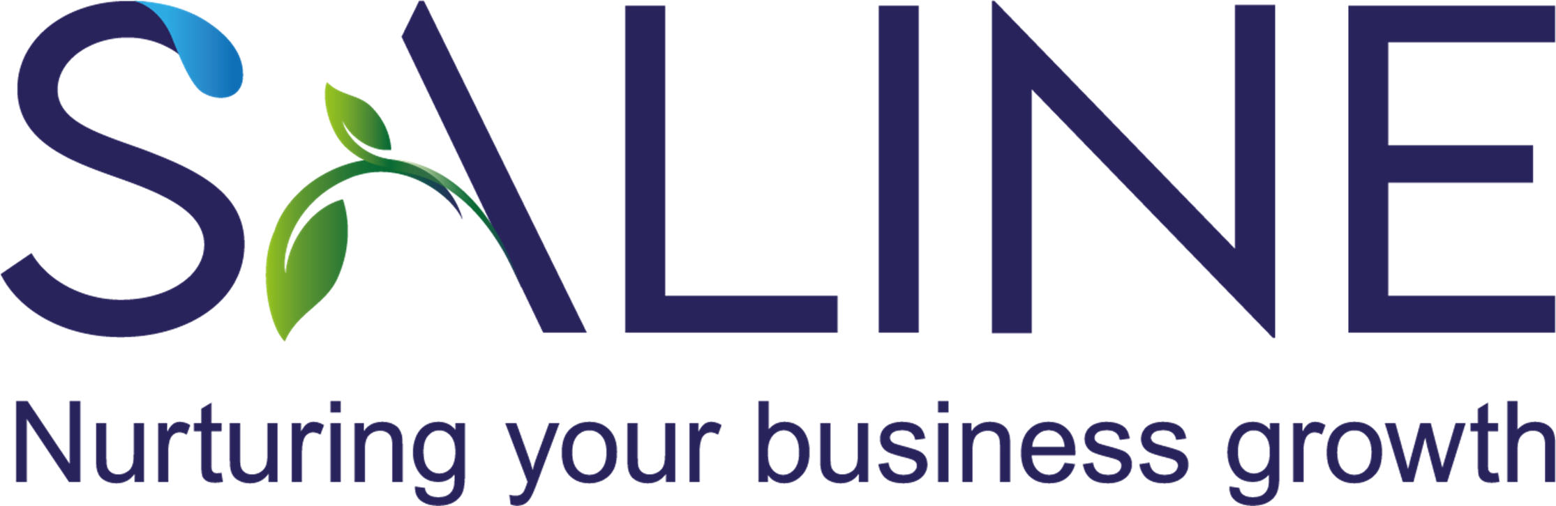 SALINE | Accelerate Business Growth