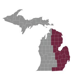 Michigan — Spicer Group
