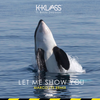 We Are K-Klass