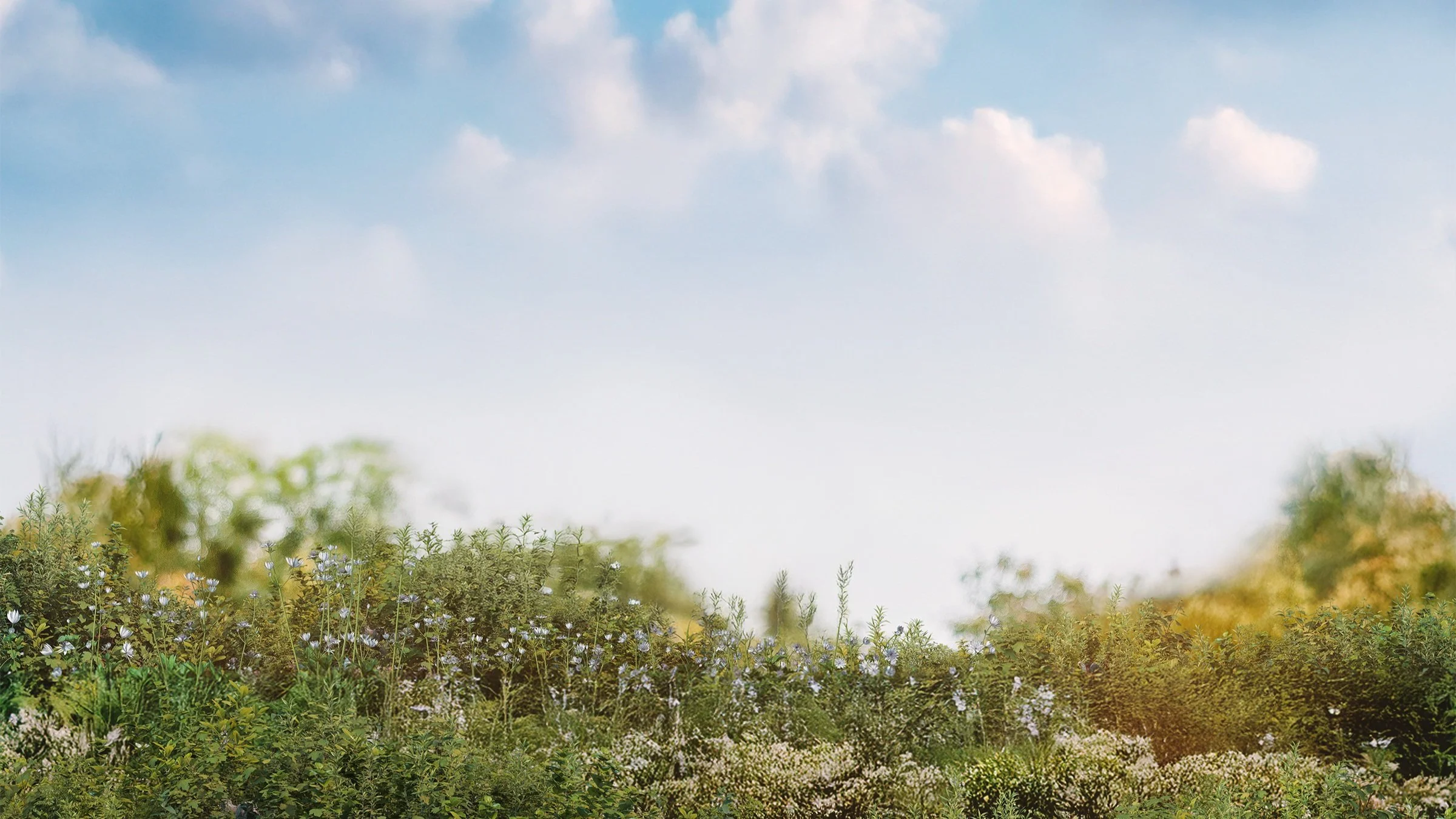 Uncle Charlie's R&B Cookout