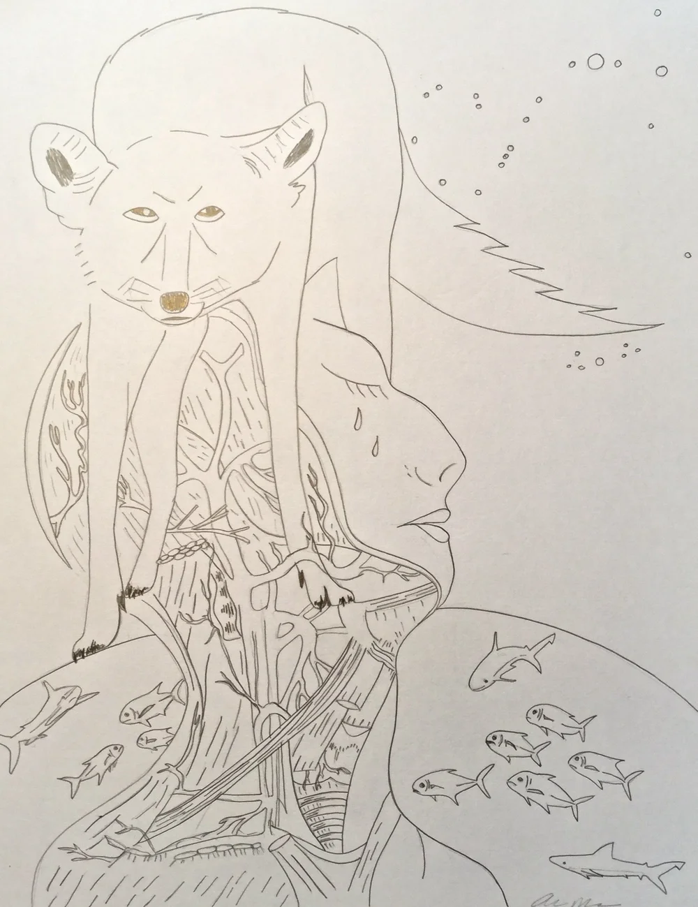 Somatic Experiencing — Embodied Process