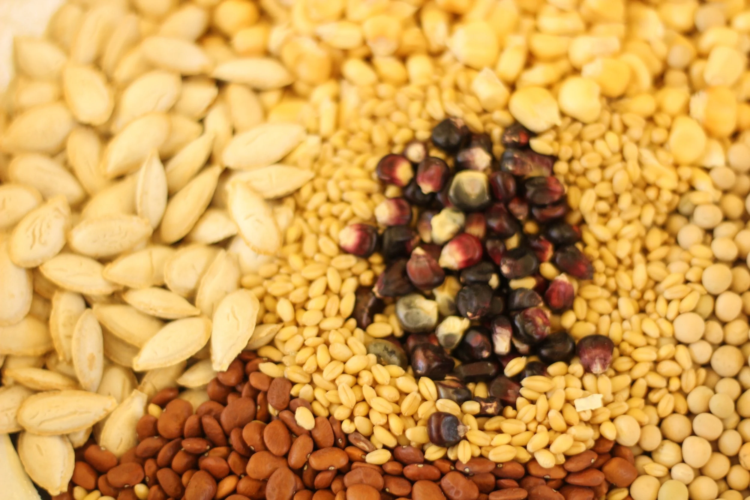 Six Pillars of Indigenous Food Sovereignty — Native Food Sovereignty ...