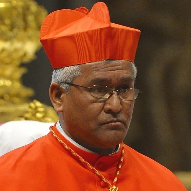 Cardinal Soane Patita Paini Mafi — Conclave Watch