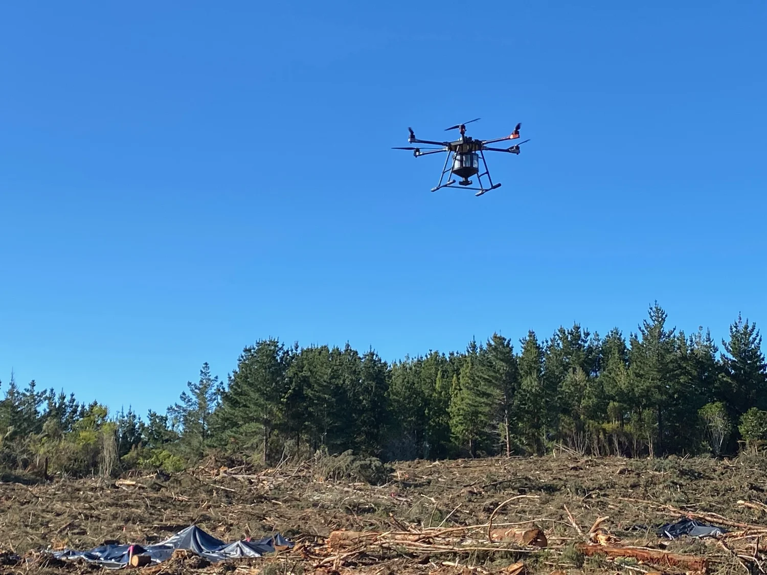 Drone-Dispersed Seed Pods - Technological Innovations for Landscape-Scale Revegetation - Whirika