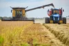 Rice Extension | Connecting Rice Growers With Essential Information and ...