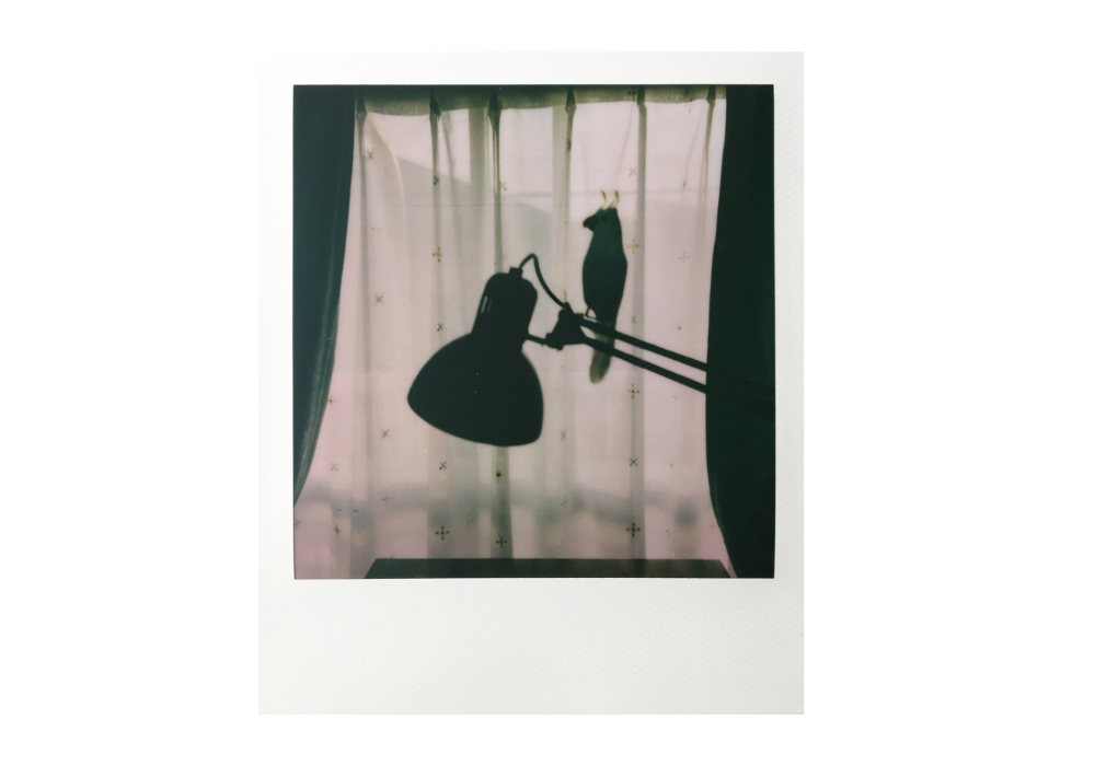 Emily Amick