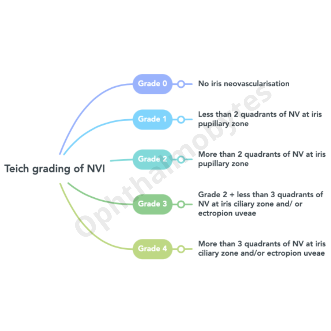 Teich Grading of NVI — Ophthalmobytes