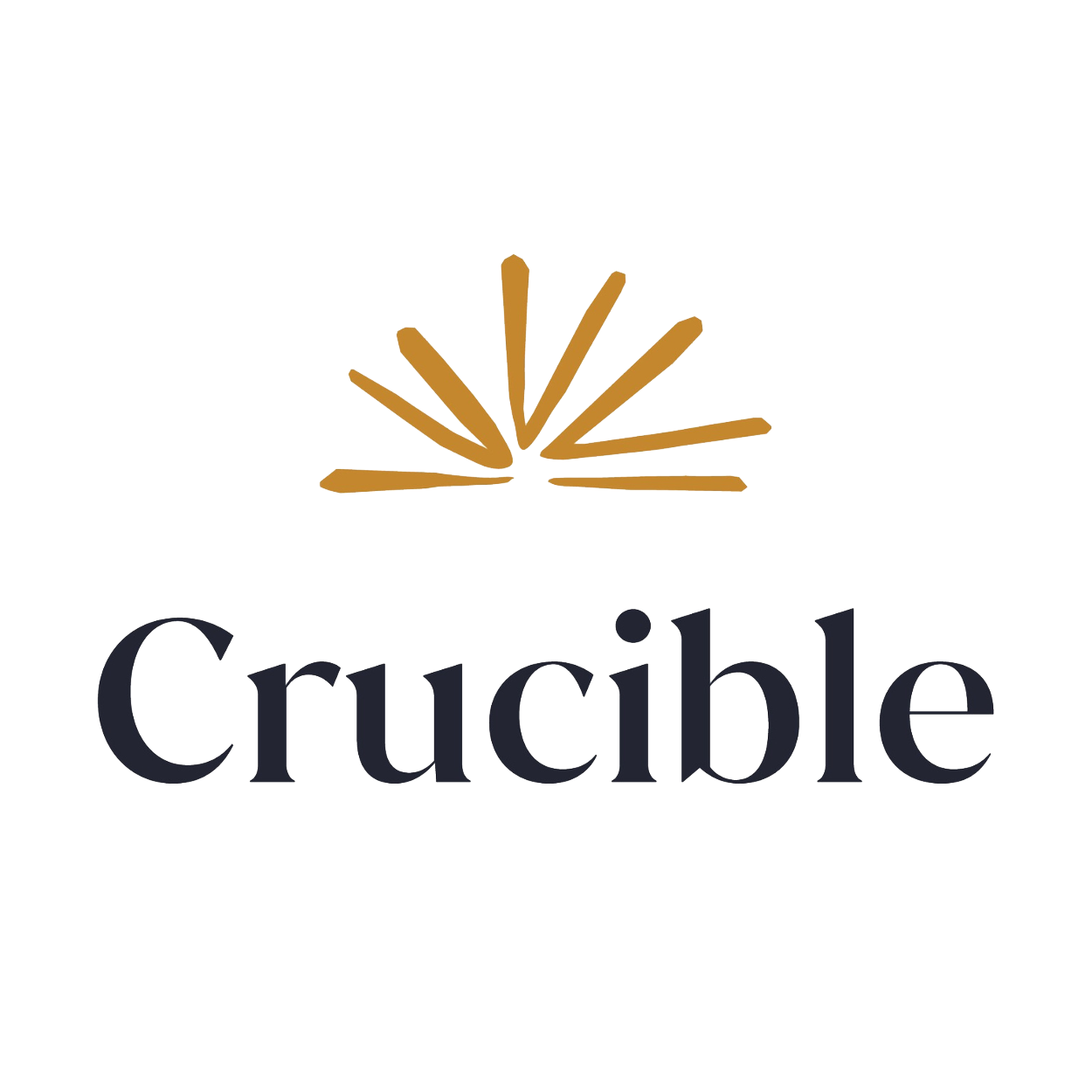 African Leadership Network for Change | Crucible