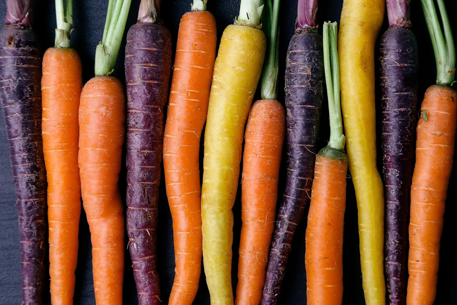24 Carrot Bistro | Dine Fresh, Reserve Now