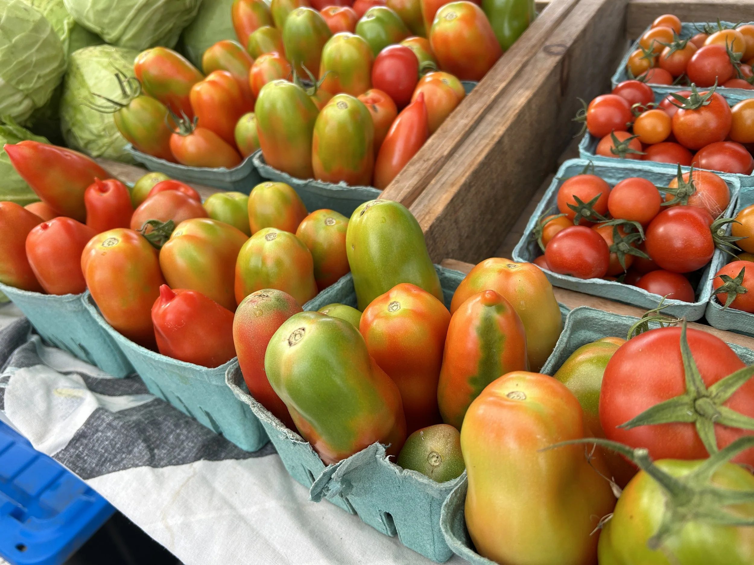 Community Events | Discover Lakefield