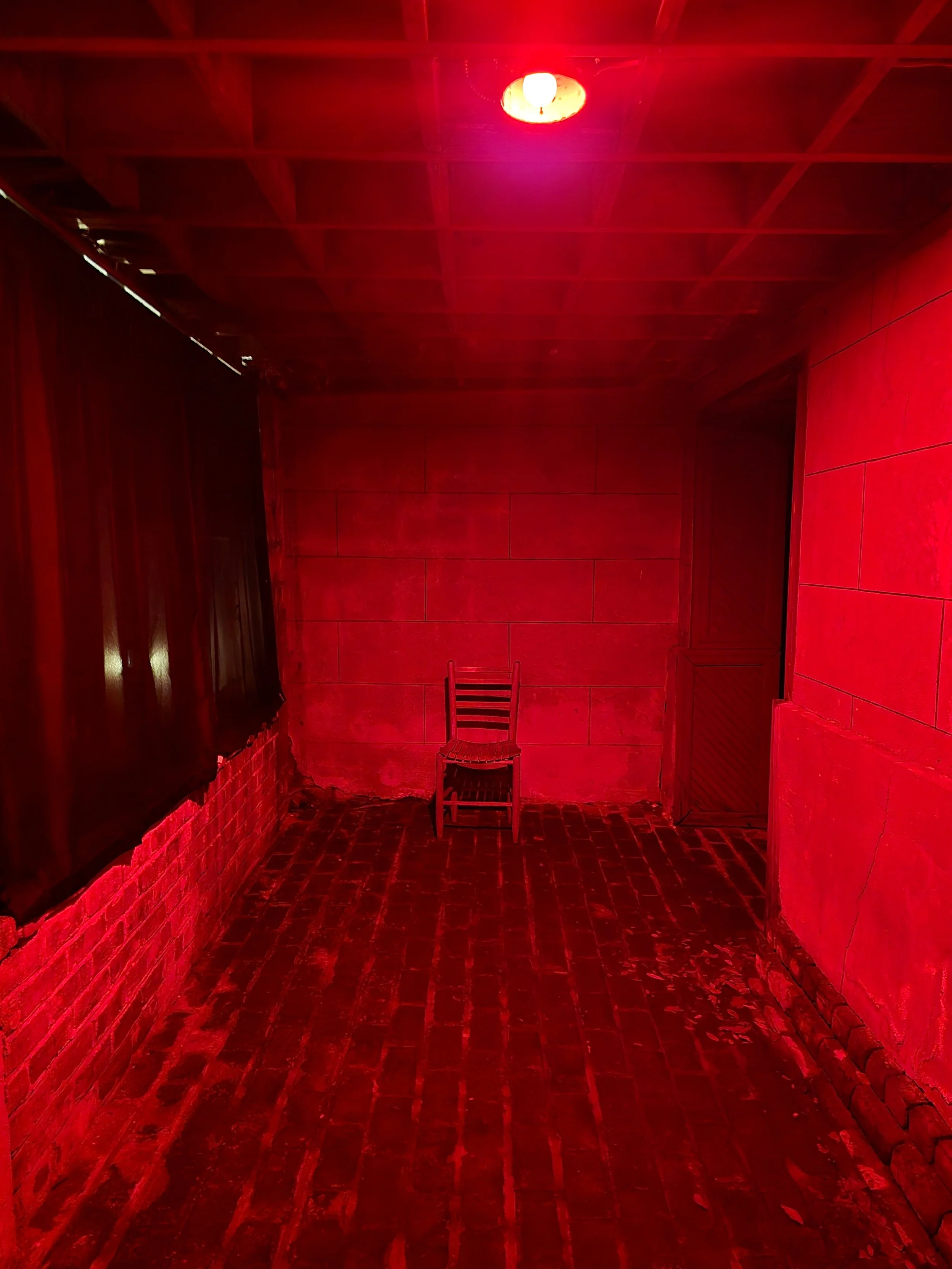 Coltan Scrivner, PhD | Explore Morbid Curiosity