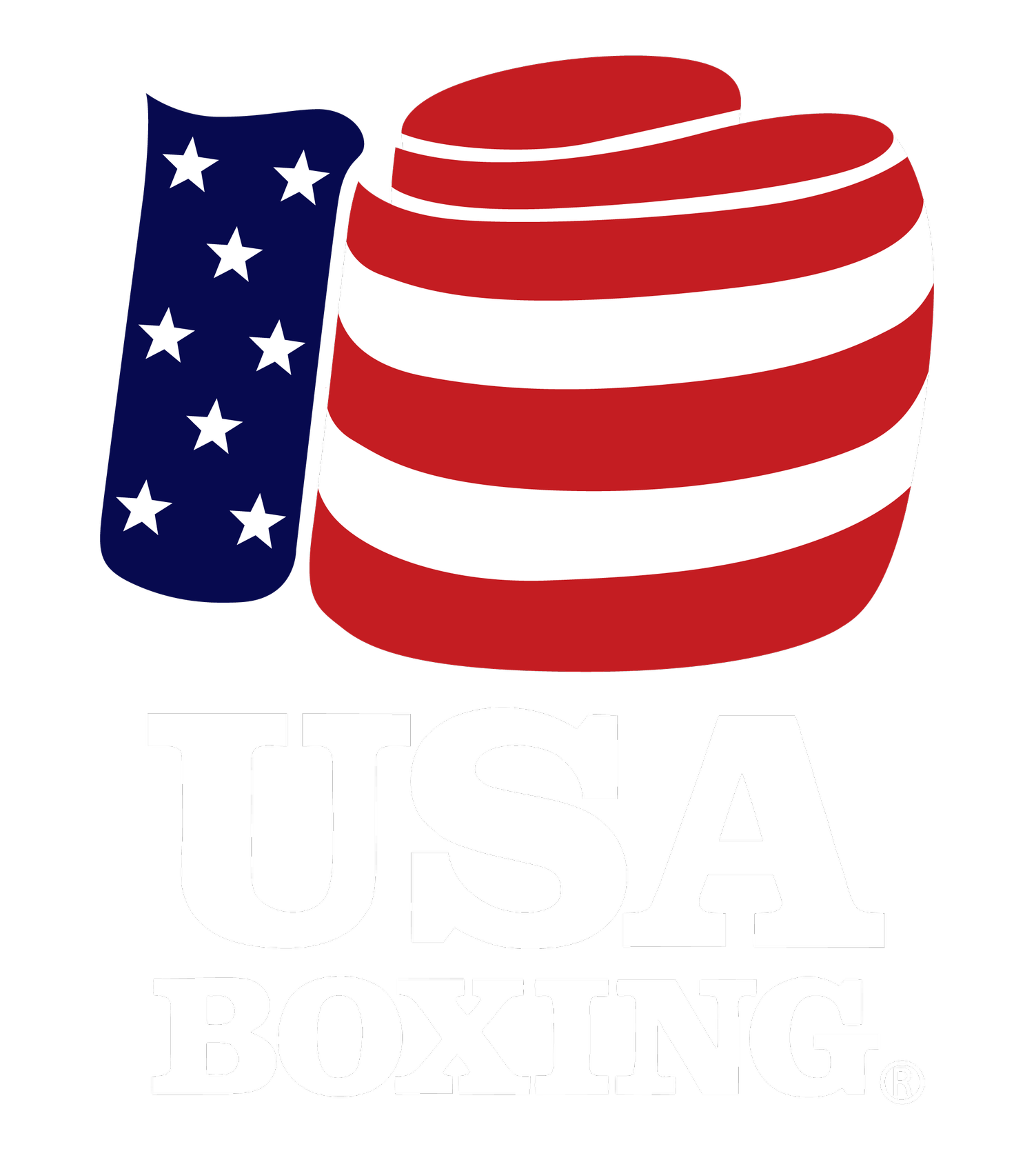 World of Havoc Boxing Tournament | Join the Fight Today