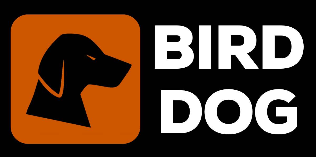Bird Dog | Fast Directional Drilling and Real-Time Analytics