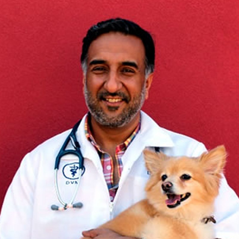 Our Team | Armstrong Pet Hospital | Clovis, CA Veterinarians ...