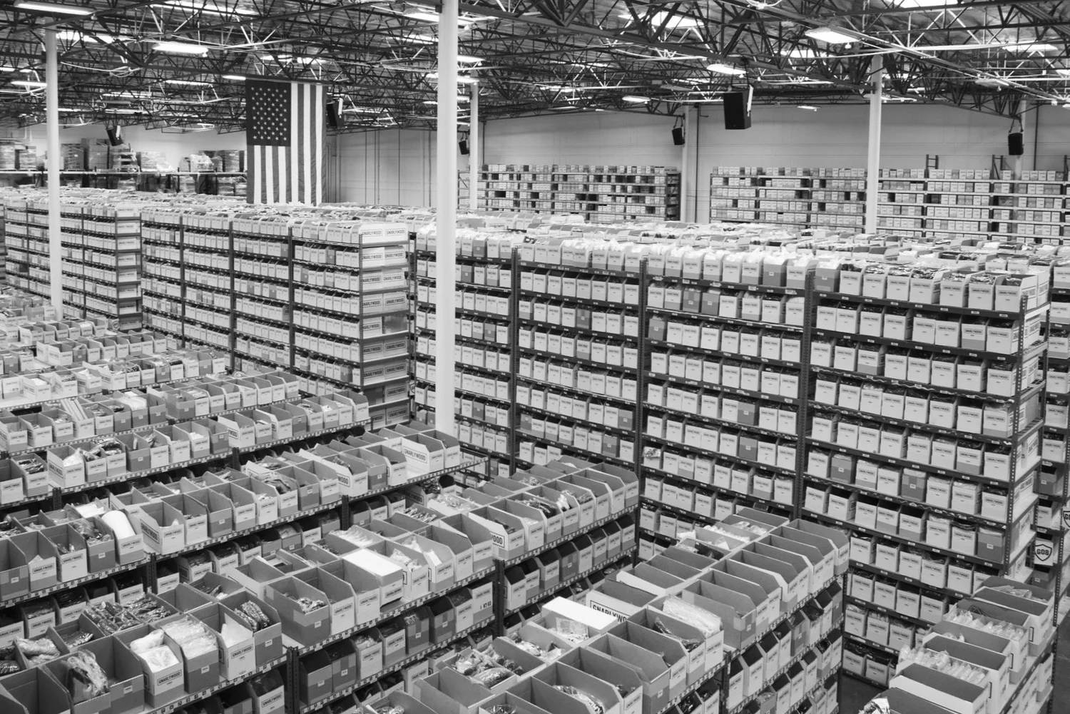 GNARLYWOOD | Streamline Your Success