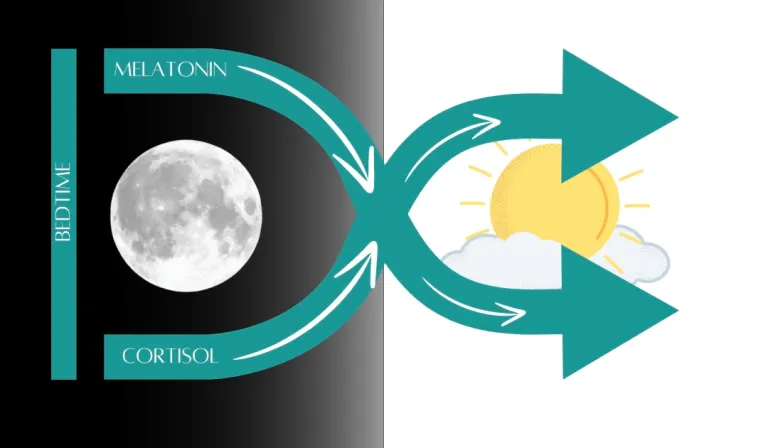 The Impact of Hormones on Baby’s Sleep: Balancing Melatonin and ...
