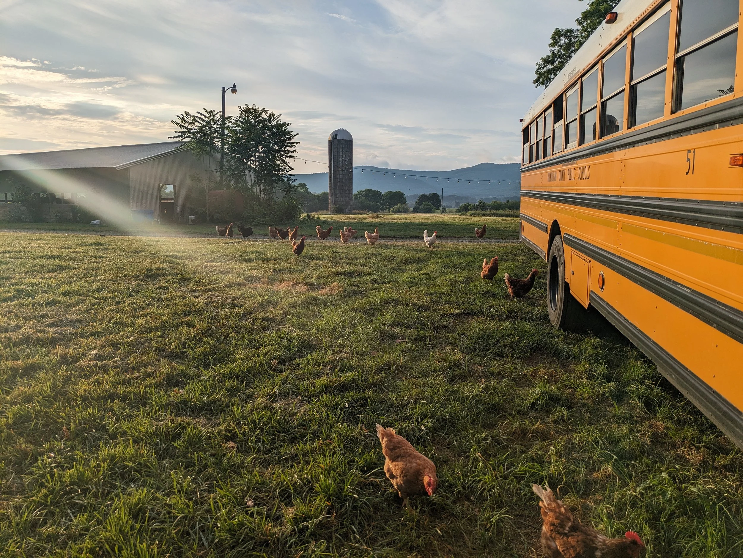 Riverbank Farms | Pasture-Raised Poultry | Heritage-Breed Pork | Elkton, VA