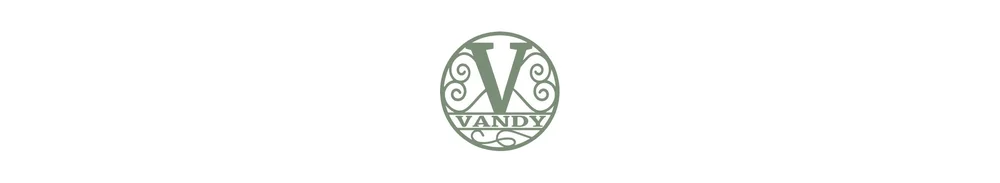 Vandy Crisps | Seed Oil-Free, Tallow-Fried Potato Chips