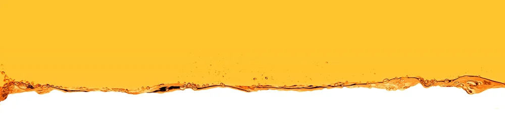 Vandy Crisps | Seed Oil-Free, Tallow-Fried Potato Chips