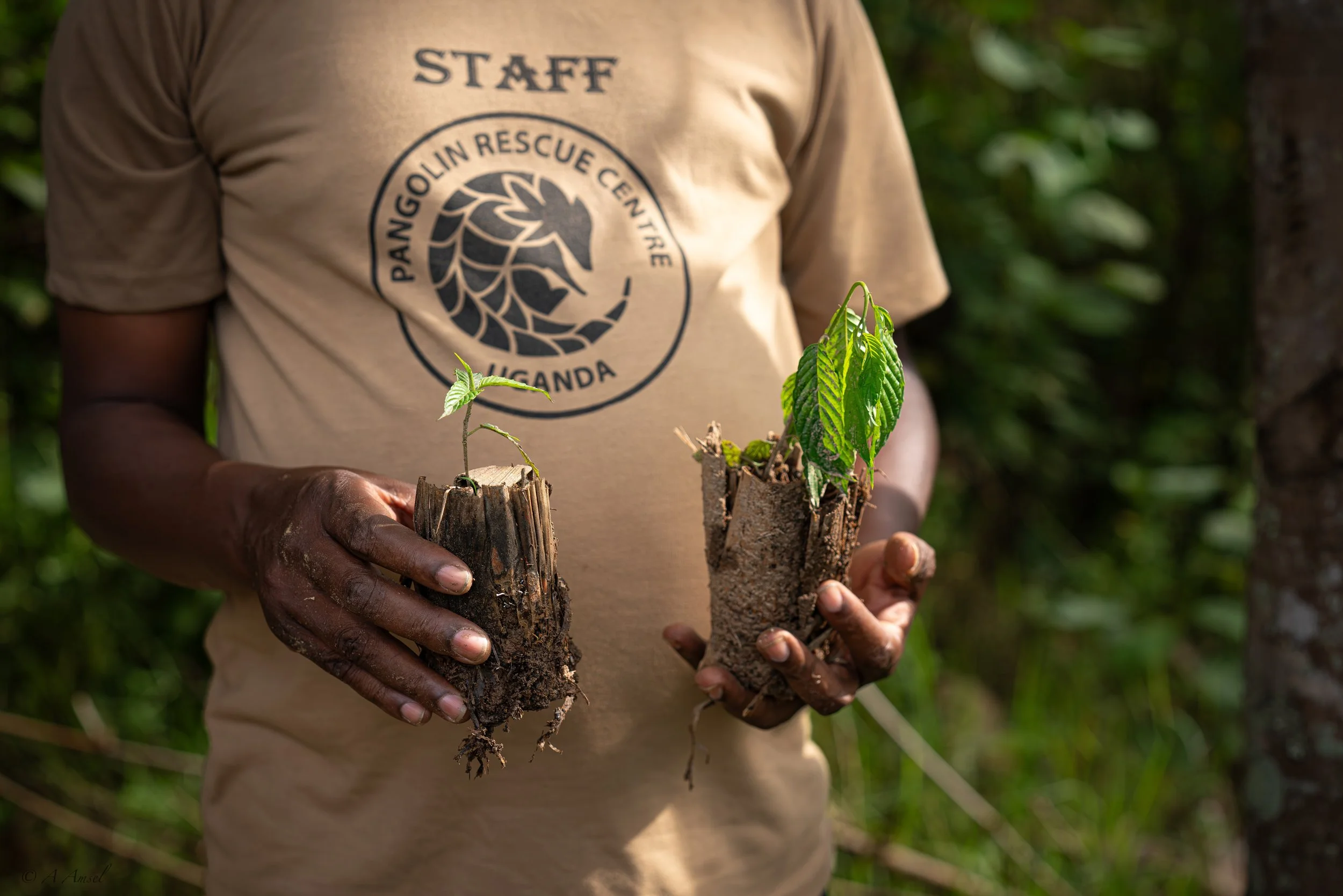 wildsight expeditions - Wildlife Photo Tours