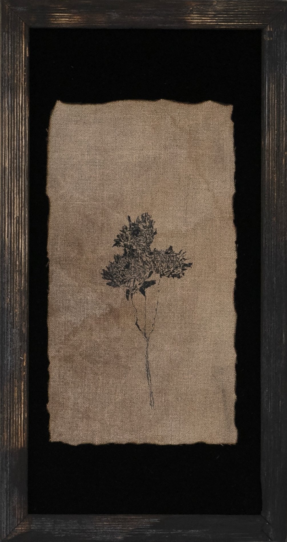 William Scofield Gallery