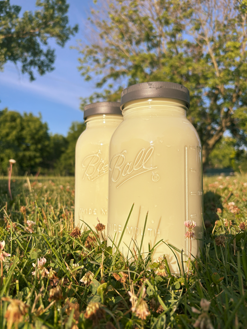 First Light Farms | Honest Food from the Ground Up | Discover Fresh ...