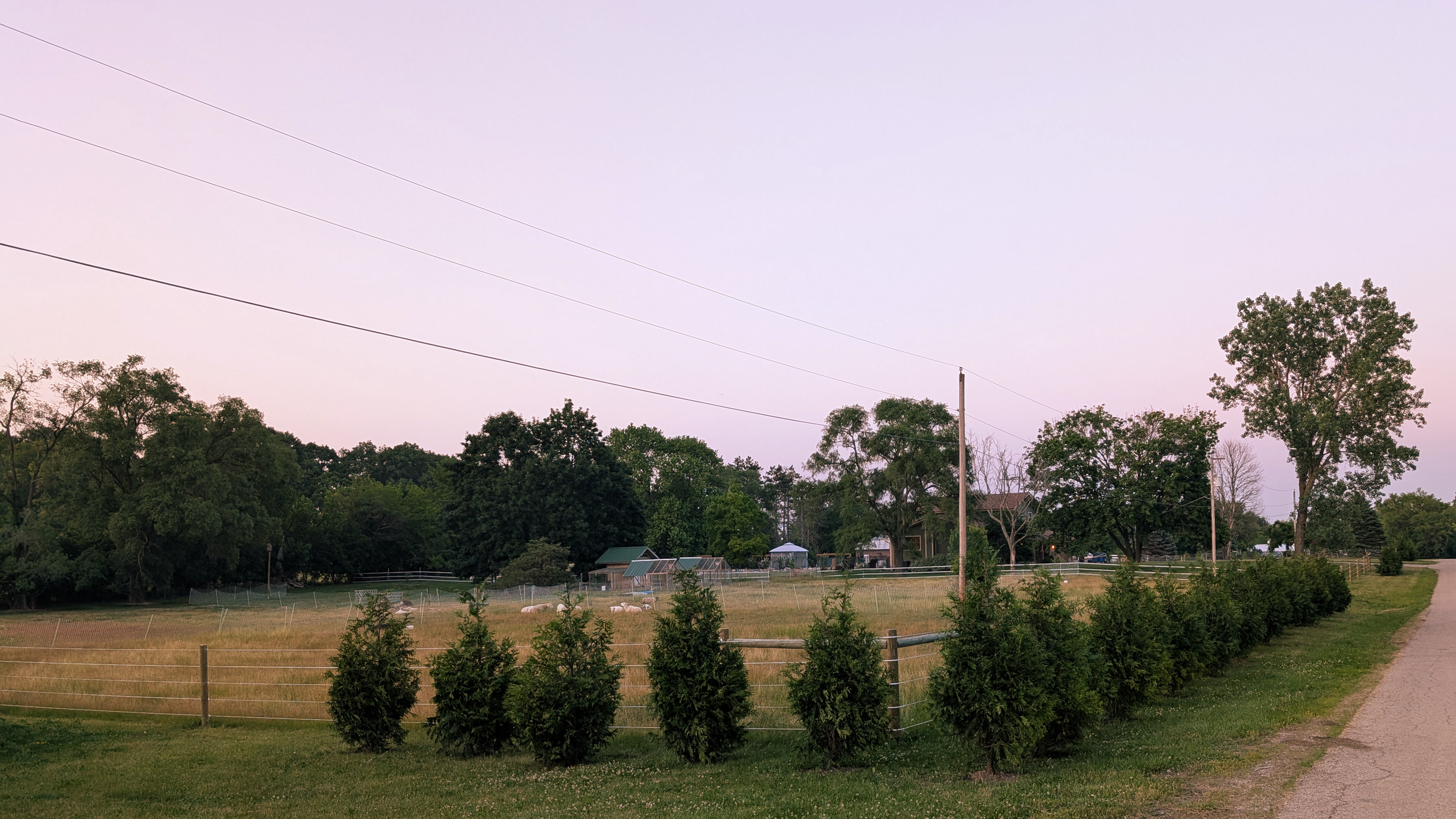 About | Discover Ethical Farming Today — First Light Farms | Honest ...