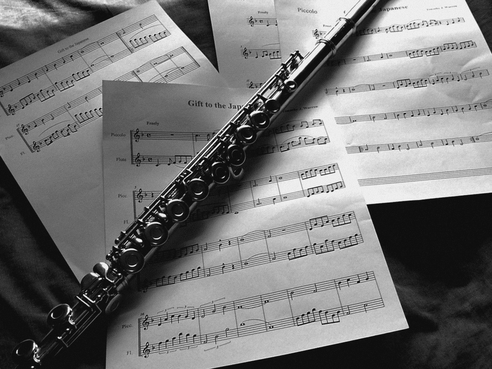How to Hold a Flute for Beginners — Los Angeles Music Teachers
