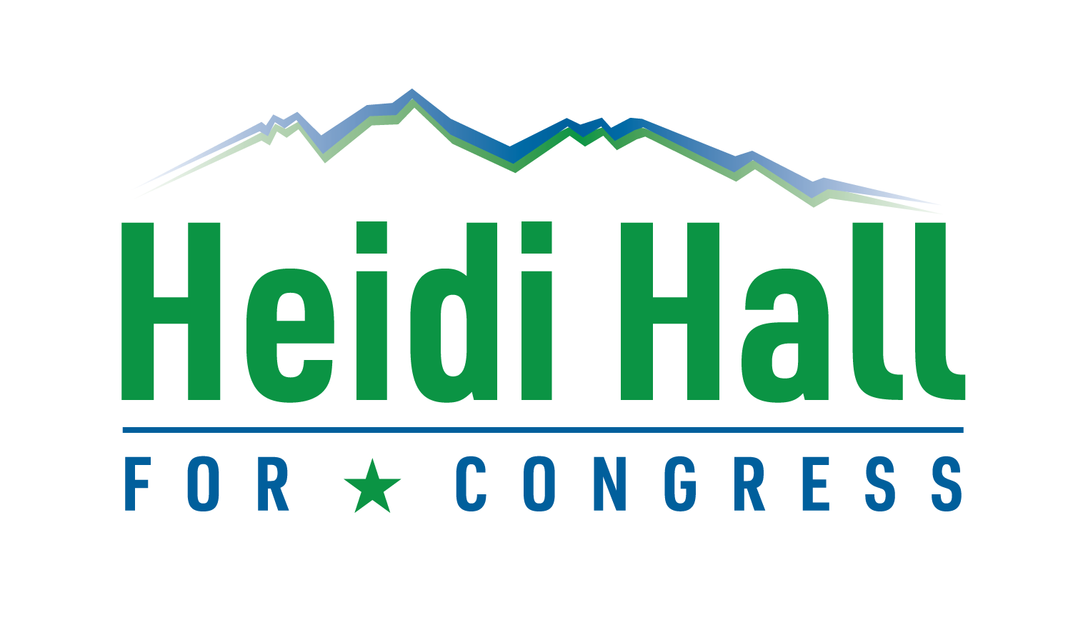 Heidi Hall for Congress