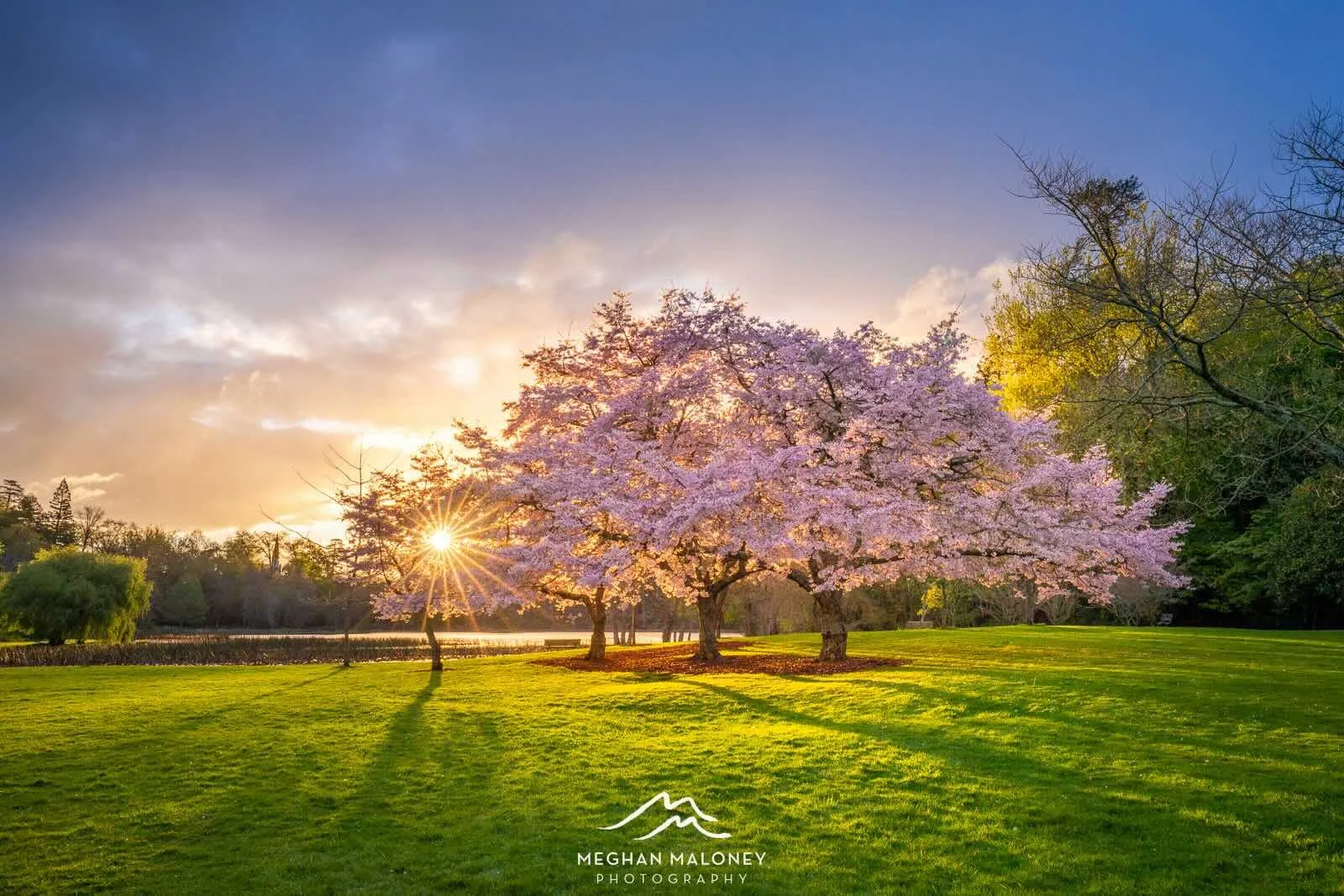 7 tips to create perfect sunstars | Landscape Photography Tips