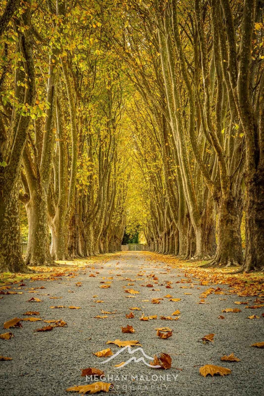 5 Reasons Why You Should Focus Stack Landscape Images and How To Do It ...