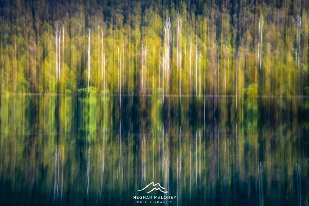 Beginners Guide to ICM (Intentional Camera Movement) Photography