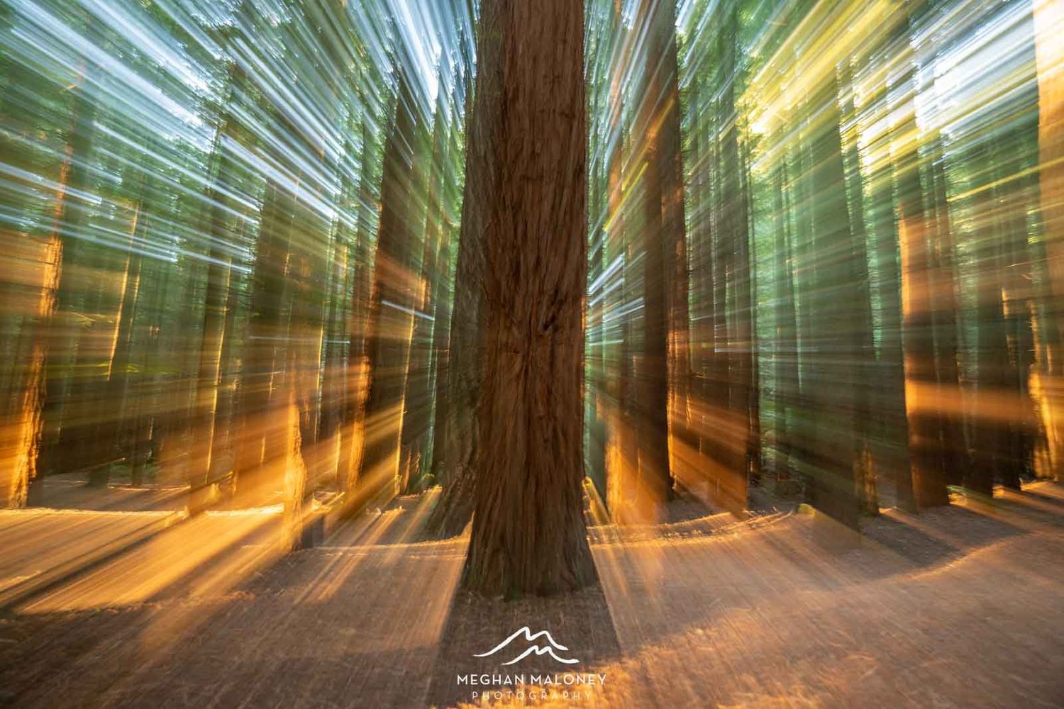 Beginners Guide to ICM (Intentional Camera Movement) Photography