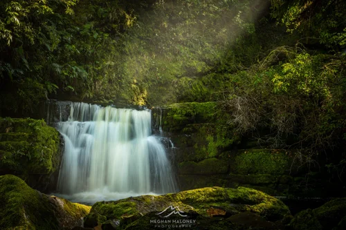 15 tips for photographing epic forest images