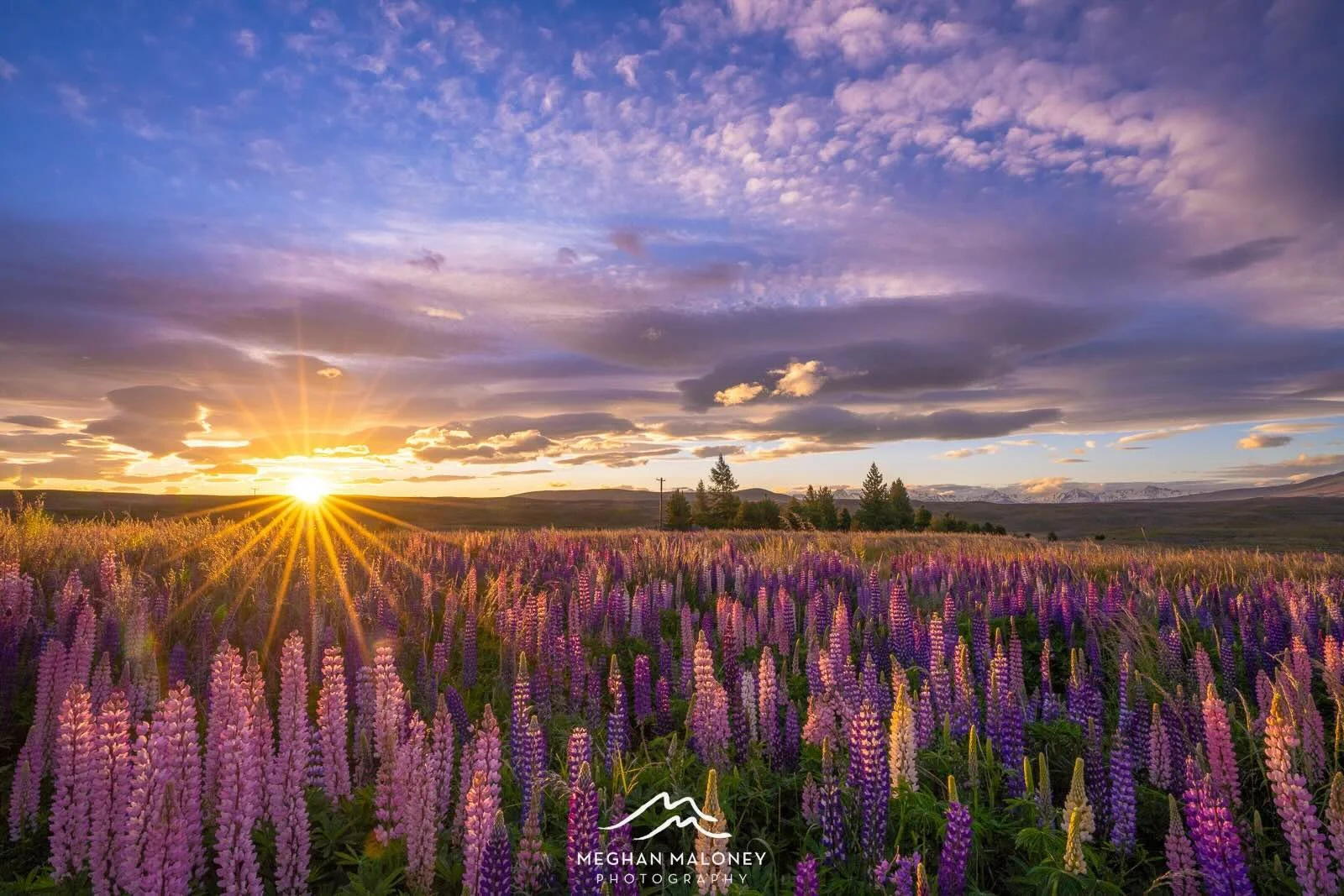 7 tips to create perfect sunstars | Landscape Photography Tips