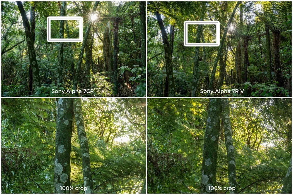 The new Sony Alpha 7C R vs the Sony Alpha 7R V (design + features)