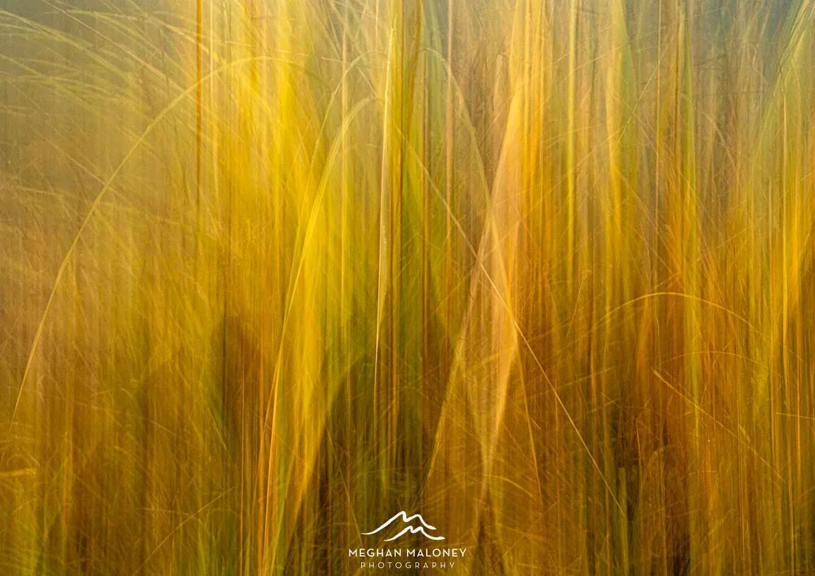 Beginners Guide to ICM (Intentional Camera Movement) Photography