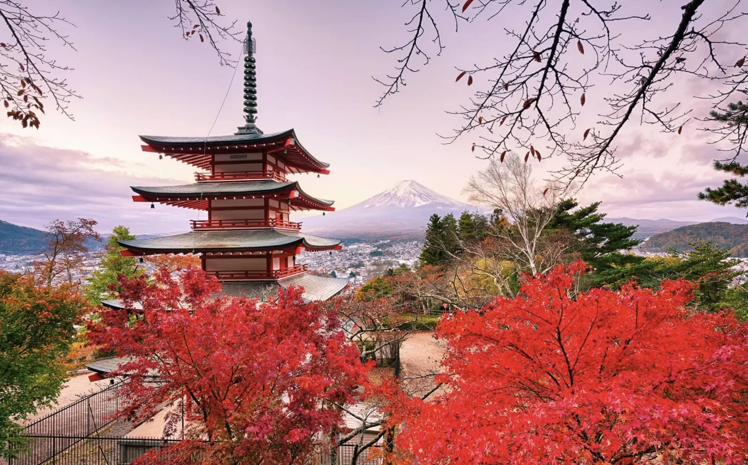 Japan Autumn Photography Workshop | 15-24 November 2026