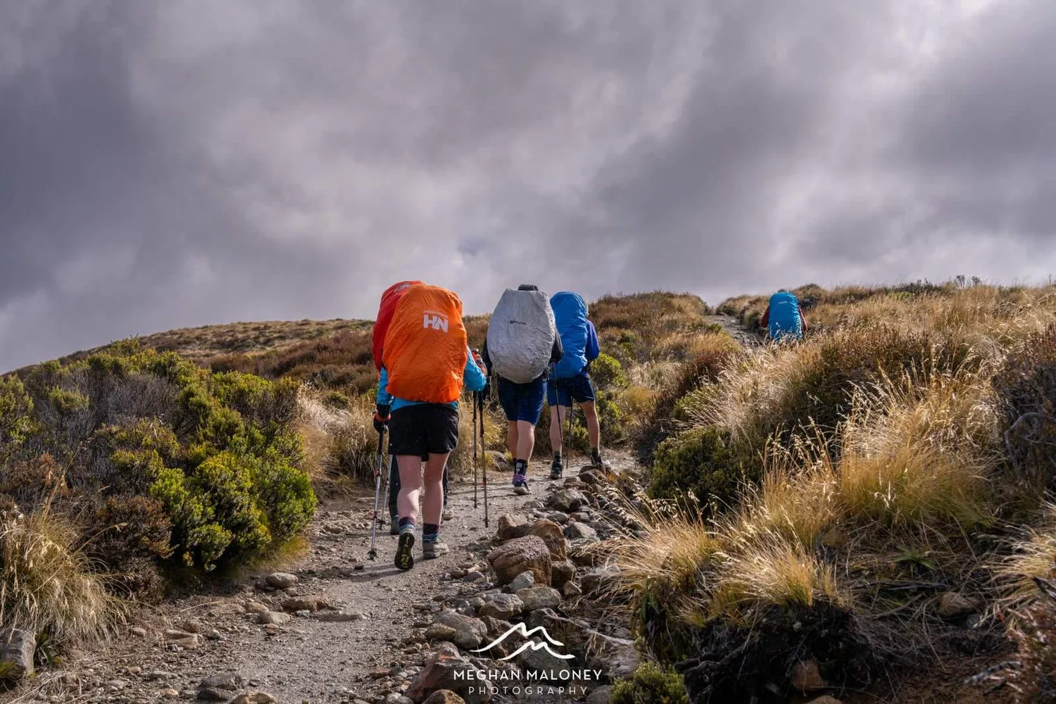 The Kepler Track: NZ Great Walk | The 45km Better, Shorter Version