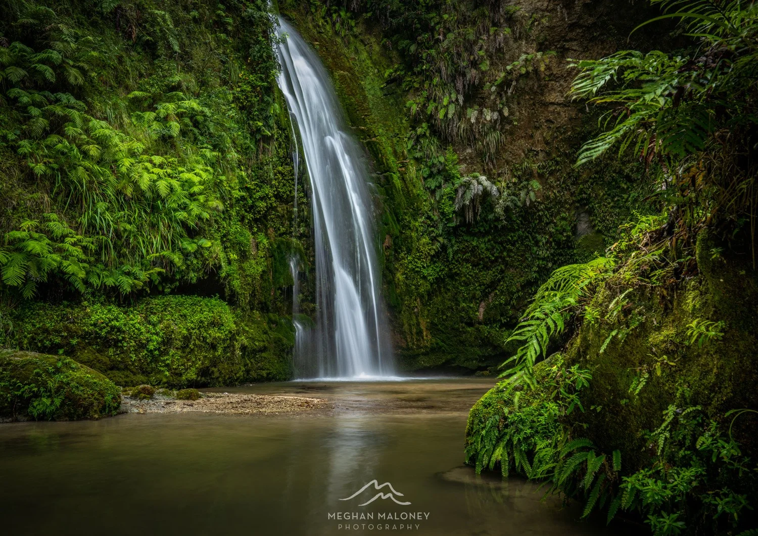 15 tips for photographing epic forest images