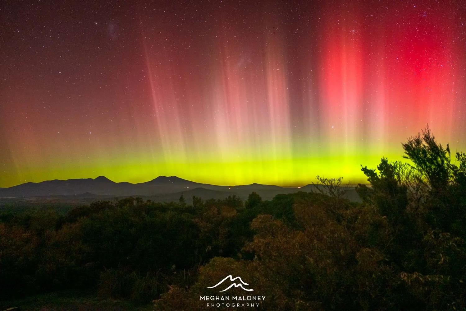 Guide to Best Places to See Aurora Australis in NZ | 5 Tips on How to ...
