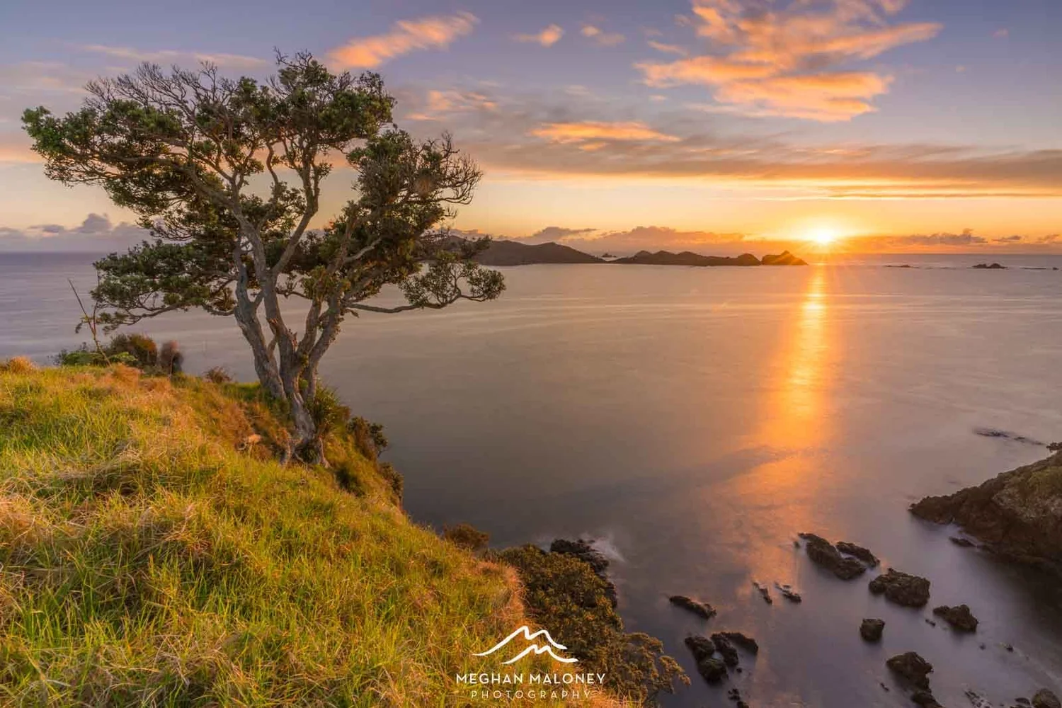 10 Must Visit Locations in Northland, New Zealand
