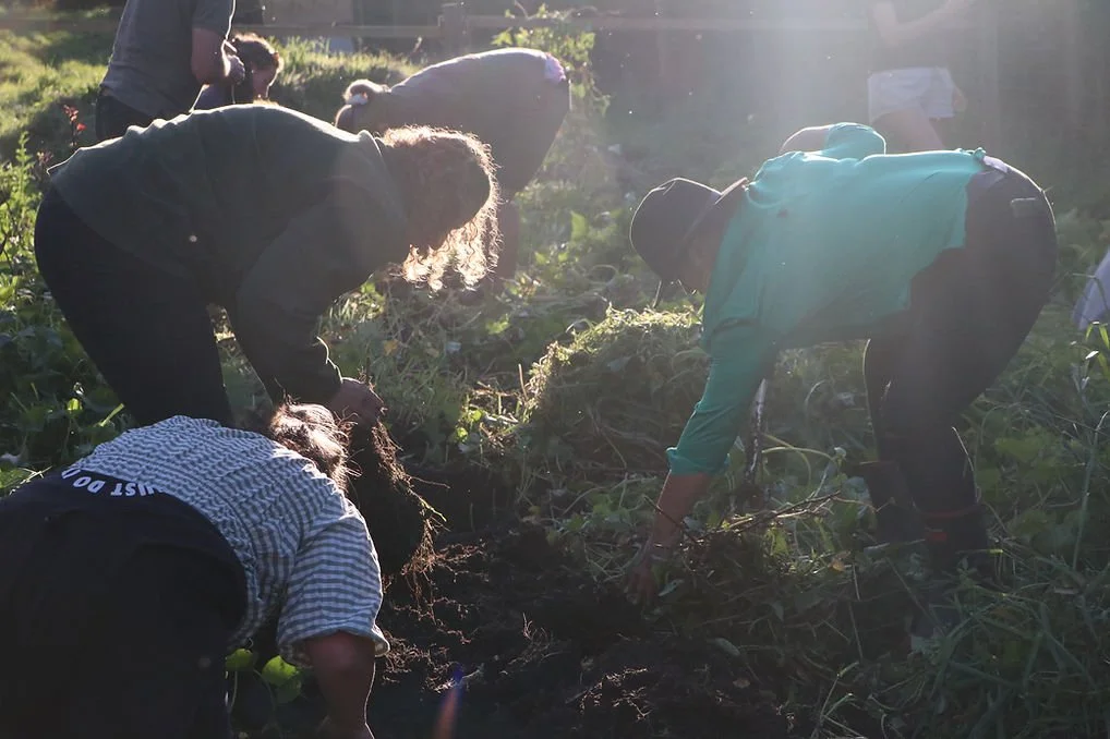 Kai Sovereignty in Action: Strengthening Whanaungatanga and Local Food ...