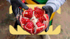 Agrolatina | Líder agroexportador del Perú | Cultivando delicias desde ...