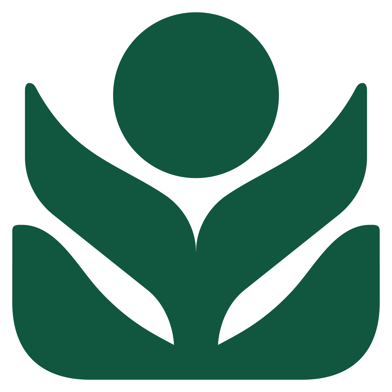 Agrolatina | Líder agroexportador del Perú | Cultivando delicias desde ...