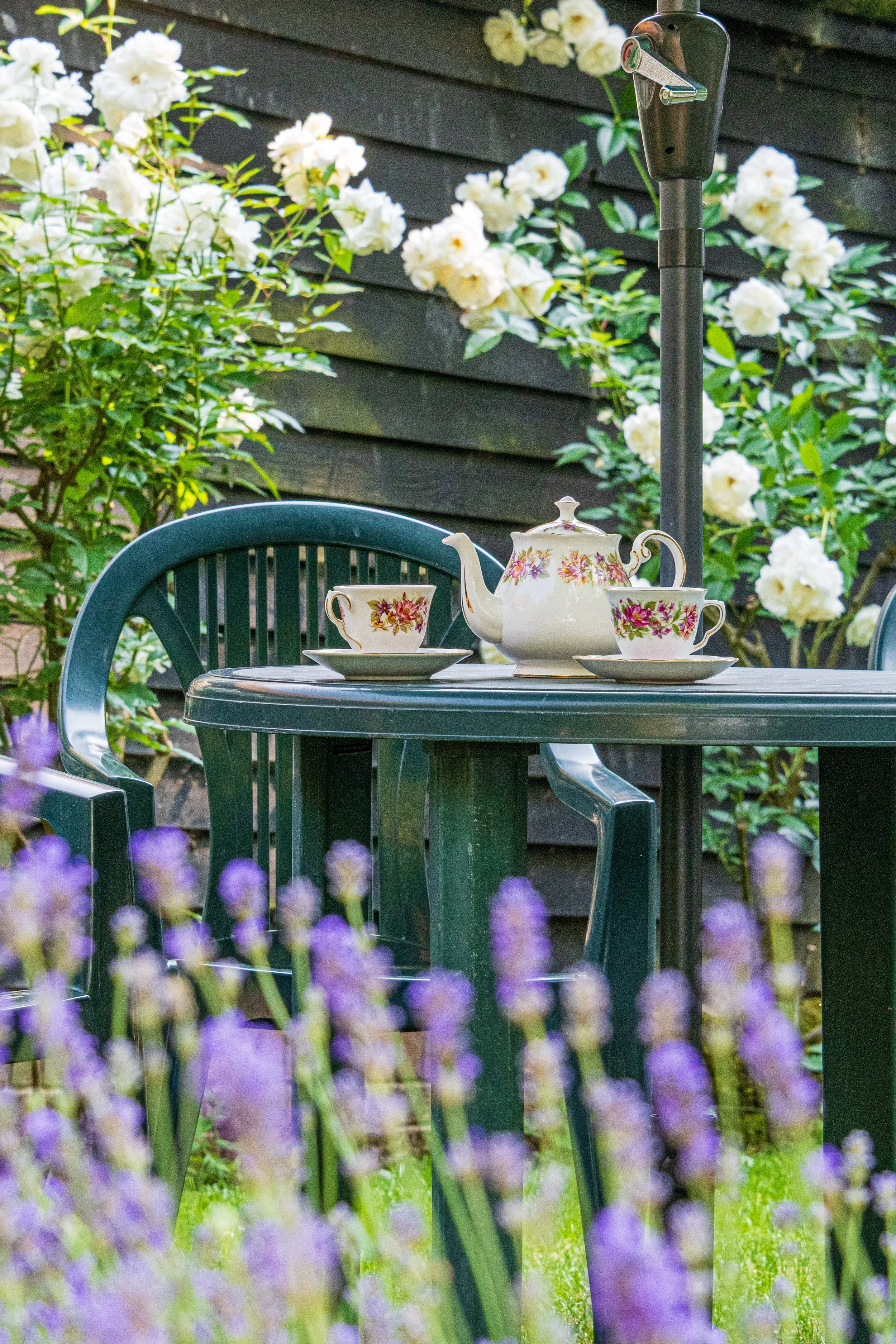 Open Gardens | Beeleigh Abbey