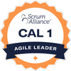 Agile, Scrum, SAFe & AI Training + Coaching & Consulting Services ...